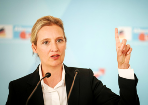 Umfrage-Knaller! Alice Weidel stärker als Friedrich Merz: Stellt die AFD die Kanzlerin? Vipflash